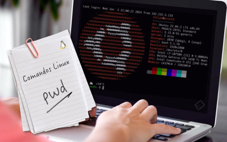 Comando pwd en linux para la terminal » Felipe Jurado